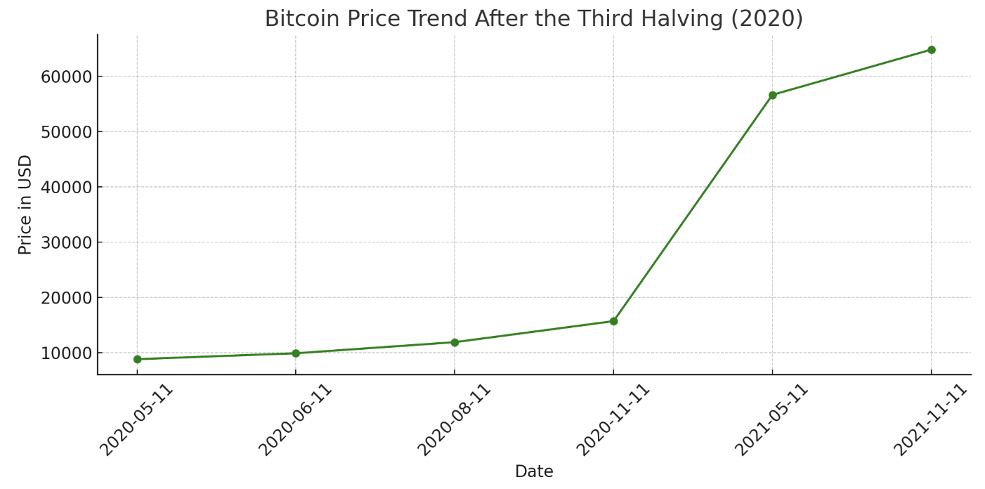 Analyzing Bitcoin's Historical Price Post-Halving: Predictions and Insights for 2024 and After ...